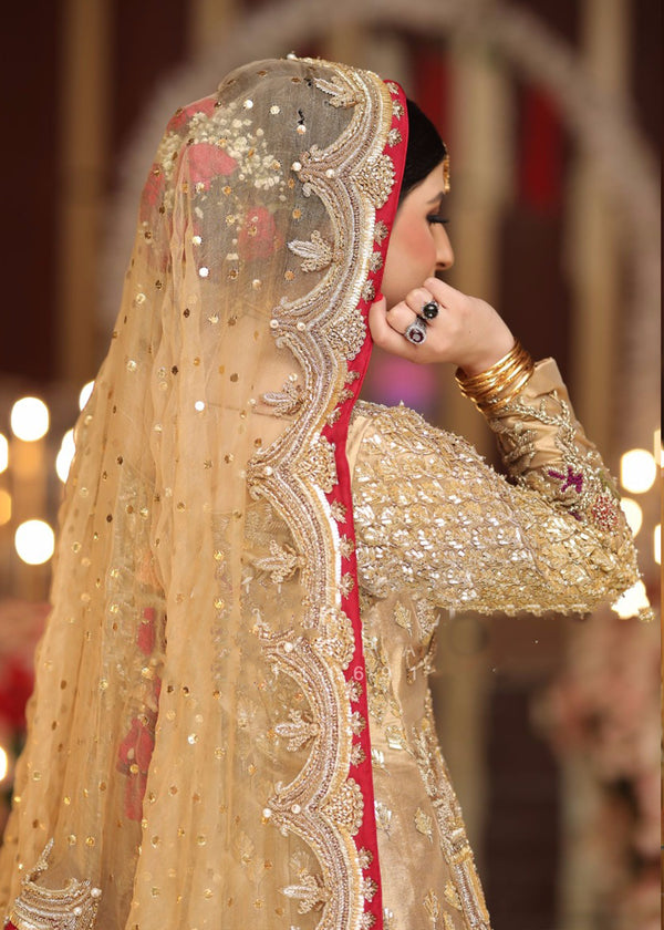 Begum Taj Mahal - Souchaj